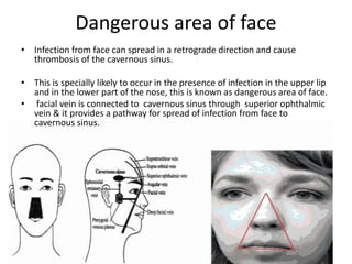 blood supply nerve supply of face | PPTX