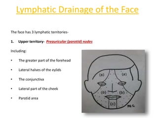 blood supply nerve supply of face | PPTX