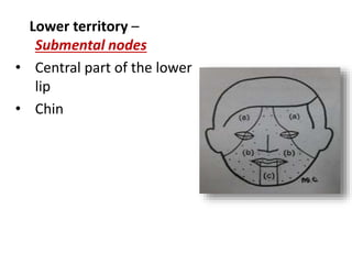 blood supply nerve supply of face | PPTX