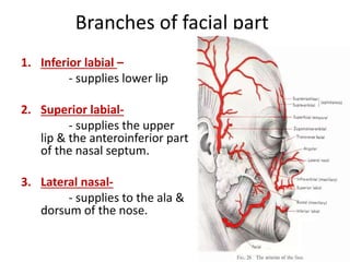 blood supply nerve supply of face | PPTX