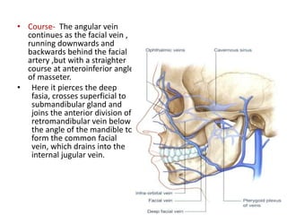 blood supply nerve supply of face | PPTX
