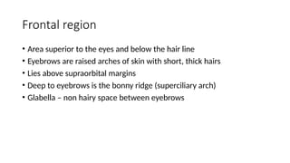 Face, Parotid gland, Ventricular system of the brain | PPTX