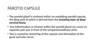 Face, Parotid gland, Ventricular system of the brain | PPTX