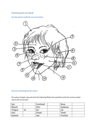 Parts Of The Face Useful Face Parts Names With Pictures