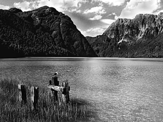 Face & Placed by Jack Halfon | PPT