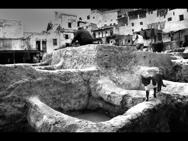 Face & Placed by Jack Halfon | PPT