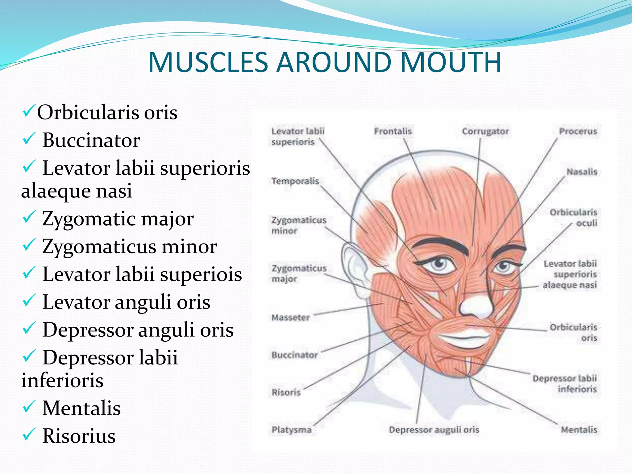 face ppt by Dr kk goyal | PPTX