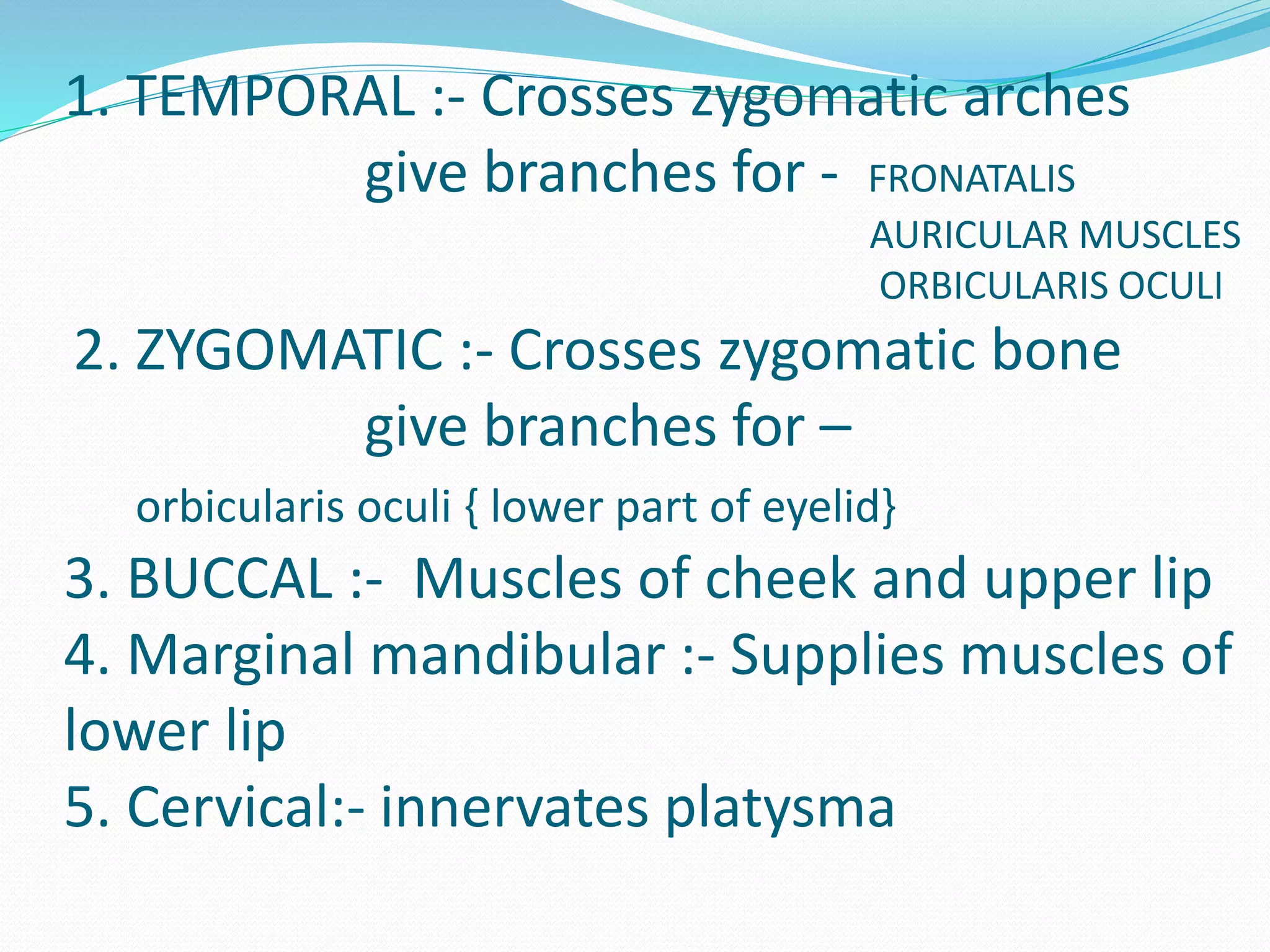 face ppt by Dr kk goyal | PPTX