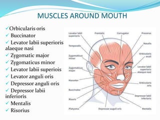 face ppt by Dr kk goyal | PPTX