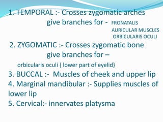 face ppt by Dr kk goyal | PPTX