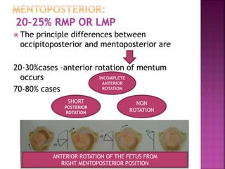 Face presentation | PPTX