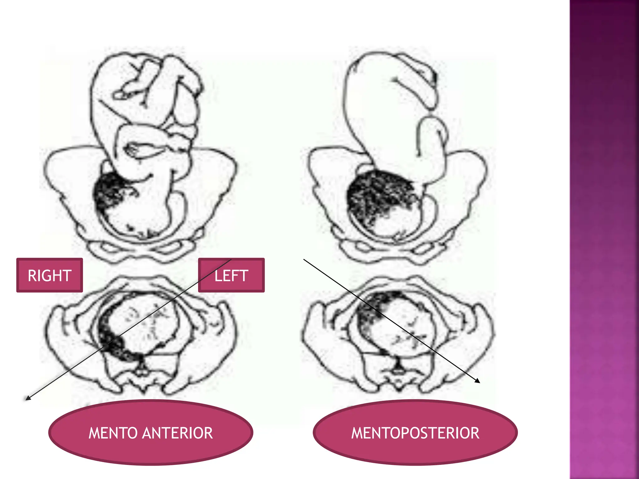 facepresentation- 160502165221 (1).pptx