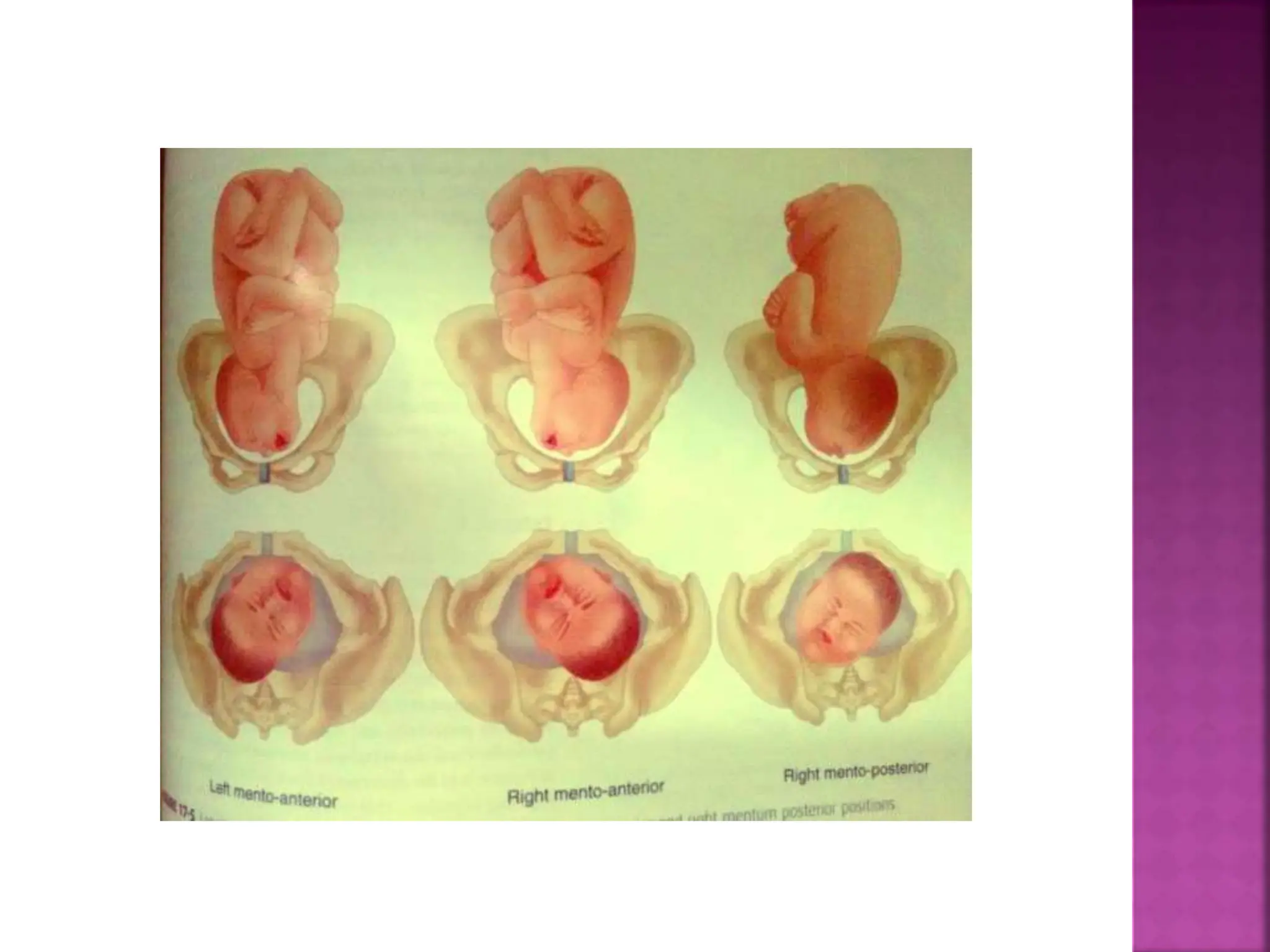 facepresentation- 160502165221 (1).pptx