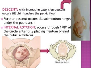 facepresentation- 160502165221 (1).pptx