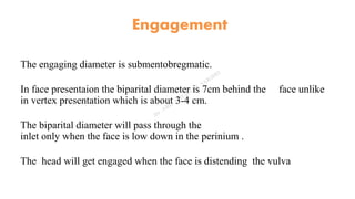 Face Presentation | PPTX