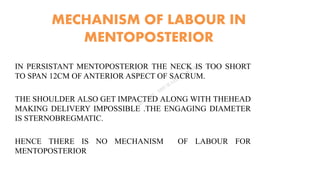 Face Presentation | PPTX