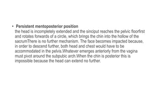 face presentation.pptx | Pregnancy | Reproductive Health