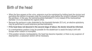 face presentation.pptx | Pregnancy | Reproductive Health