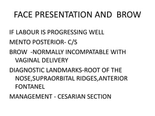 face_presentation.pptx