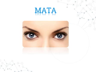 Face reading (Seni Membaca Wajah) | PPTX