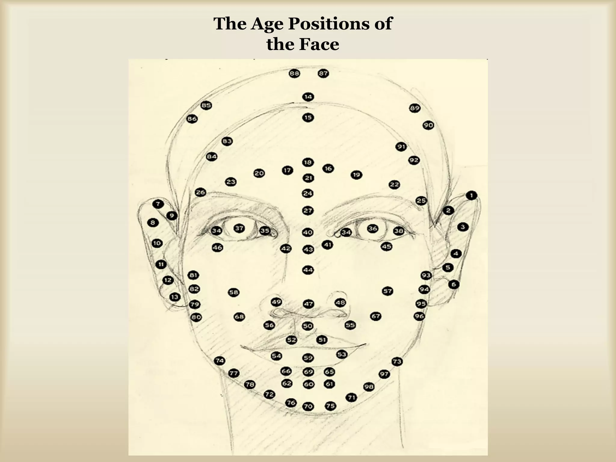Face Reading | PPT