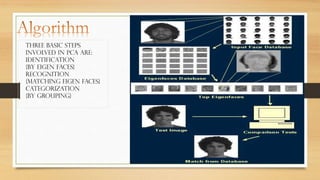 Face Recognition using PCA-Principal Component Analysis using MATLAB | PPTX