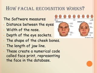 Face recognization | PPTX