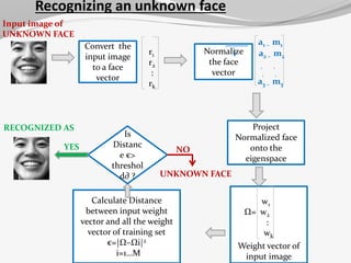 Face recogntion Using PCA Algorithm | PPTX | Physics | Science