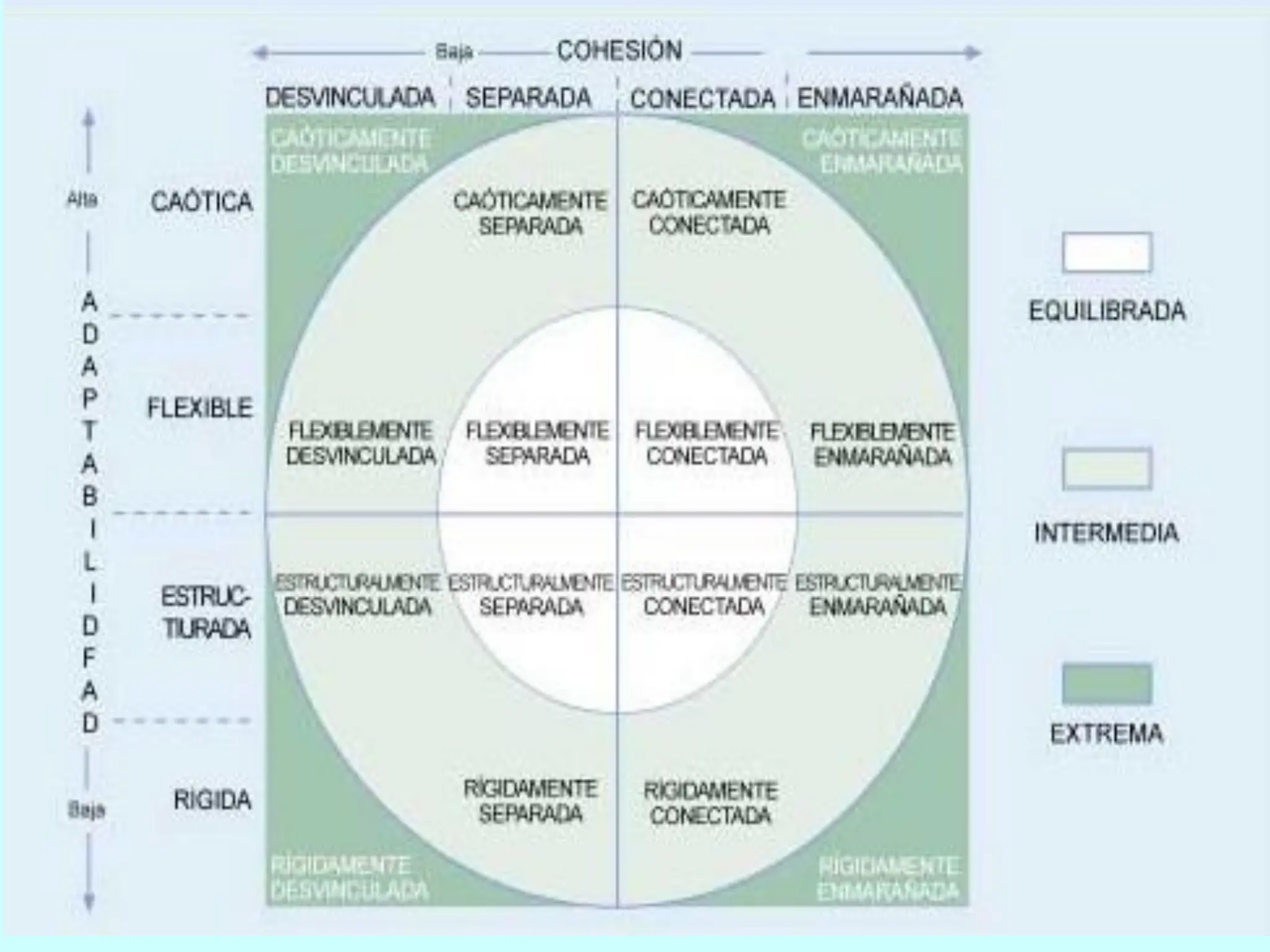 ESCALA DE EVALUACIÓN DE LA COHESIÓN Y ADAPTABILIDAD FAMILIAR - FACES ...