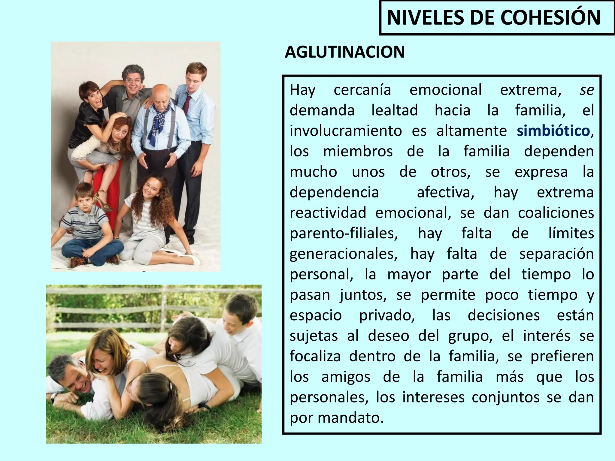 ESCALA DE EVALUACIÓN DE LA COHESIÓN Y ADAPTABILIDAD FAMILIAR - FACES ...