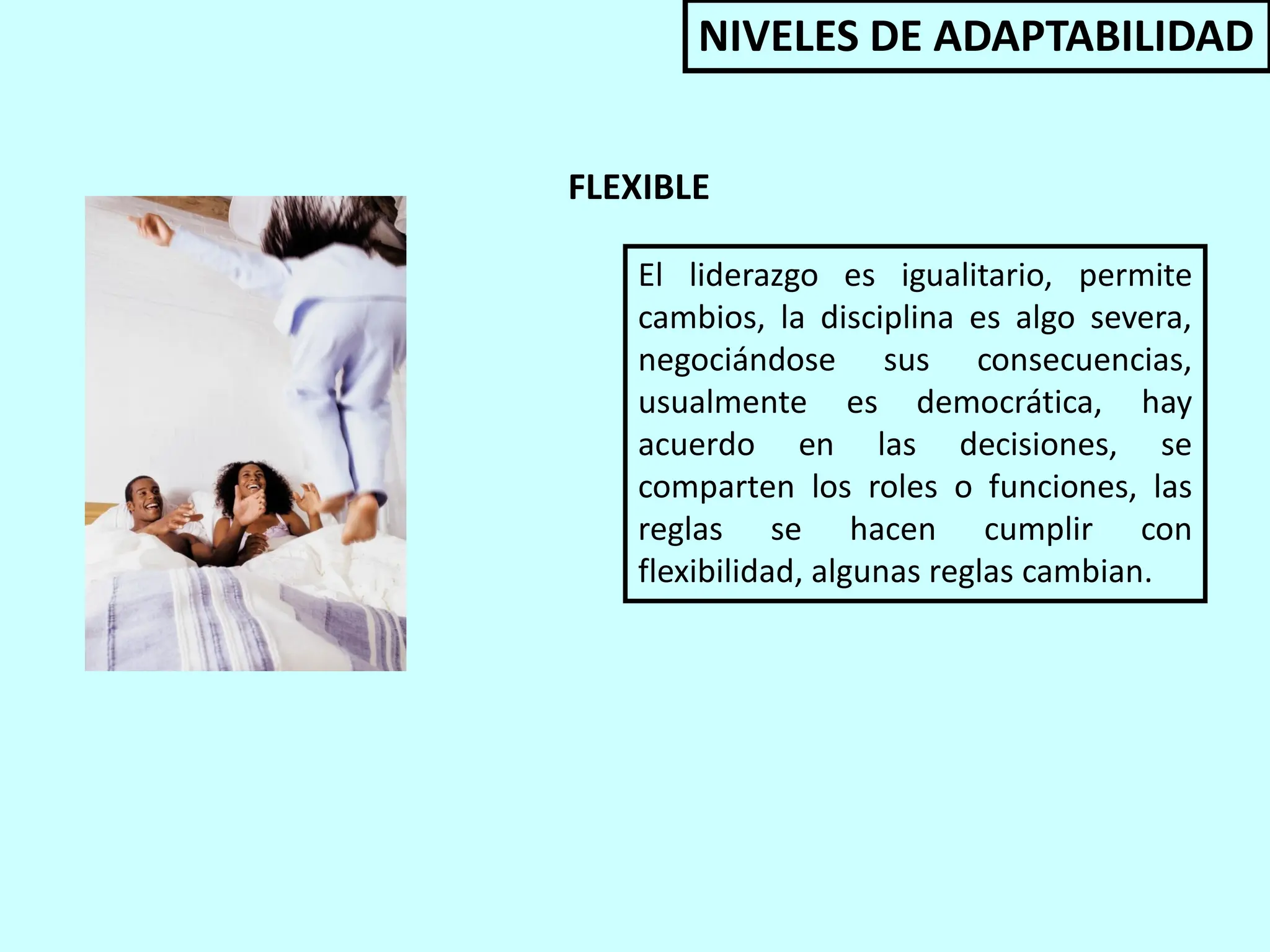 ESCALA DE EVALUACIÓN DE LA COHESIÓN Y ADAPTABILIDAD FAMILIAR - FACES ...