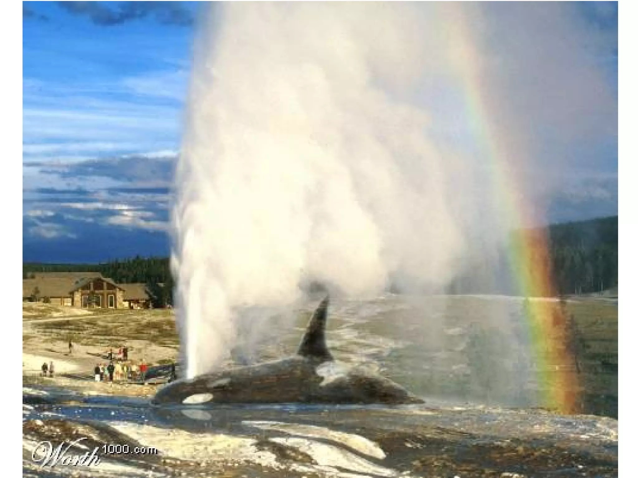 Faces of Nature | PPS