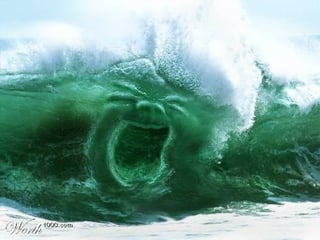 Faces of Nature | PPT