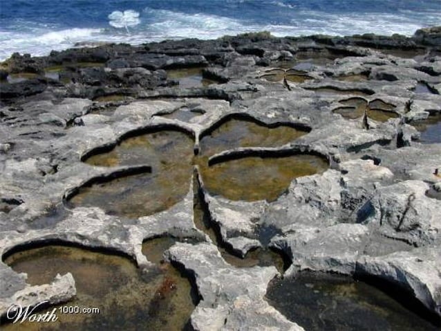 Faces of Nature | PPS