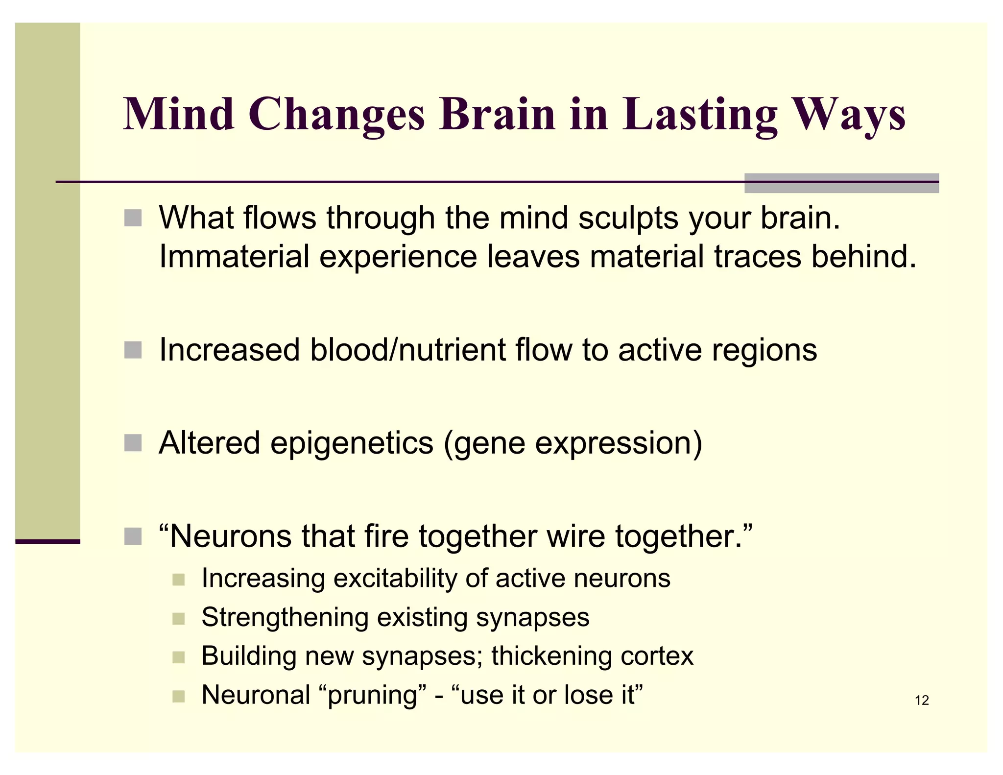 The Negativity Bias and Taking in the Good | PDF
