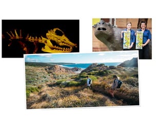 Geotourism and a Geopark in the Margaret River Region: Mark Delane | PPT