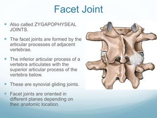 facet cyst.ppt