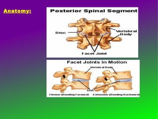 Facet Joint Syndrome | ODP