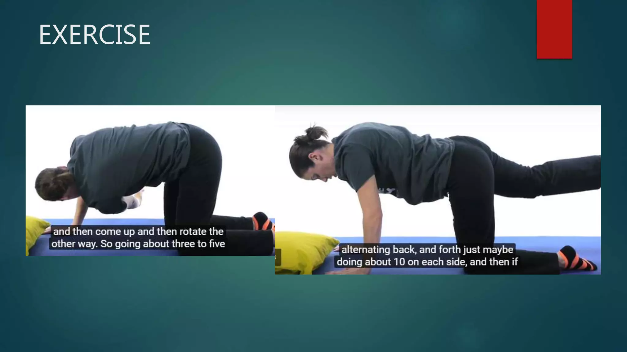 Facet joint syndrome | PPTX