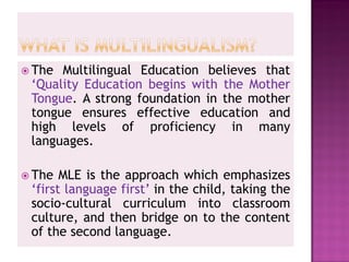 Facets of multilingualism | PDF