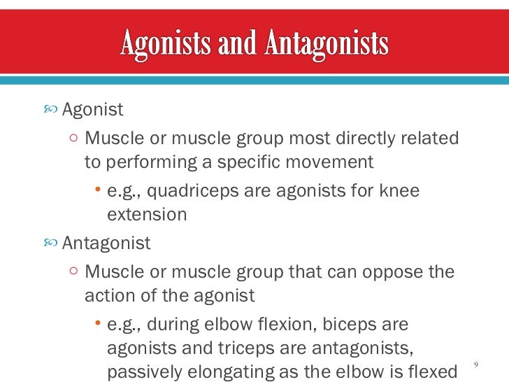 chapter 03 week 2 lecture 2