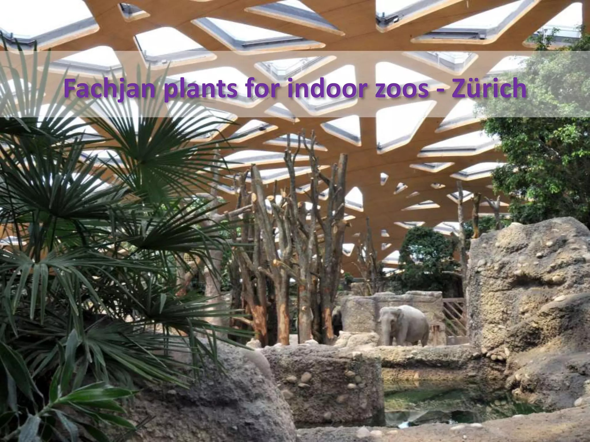 Fachjan Project Plants | PPTX