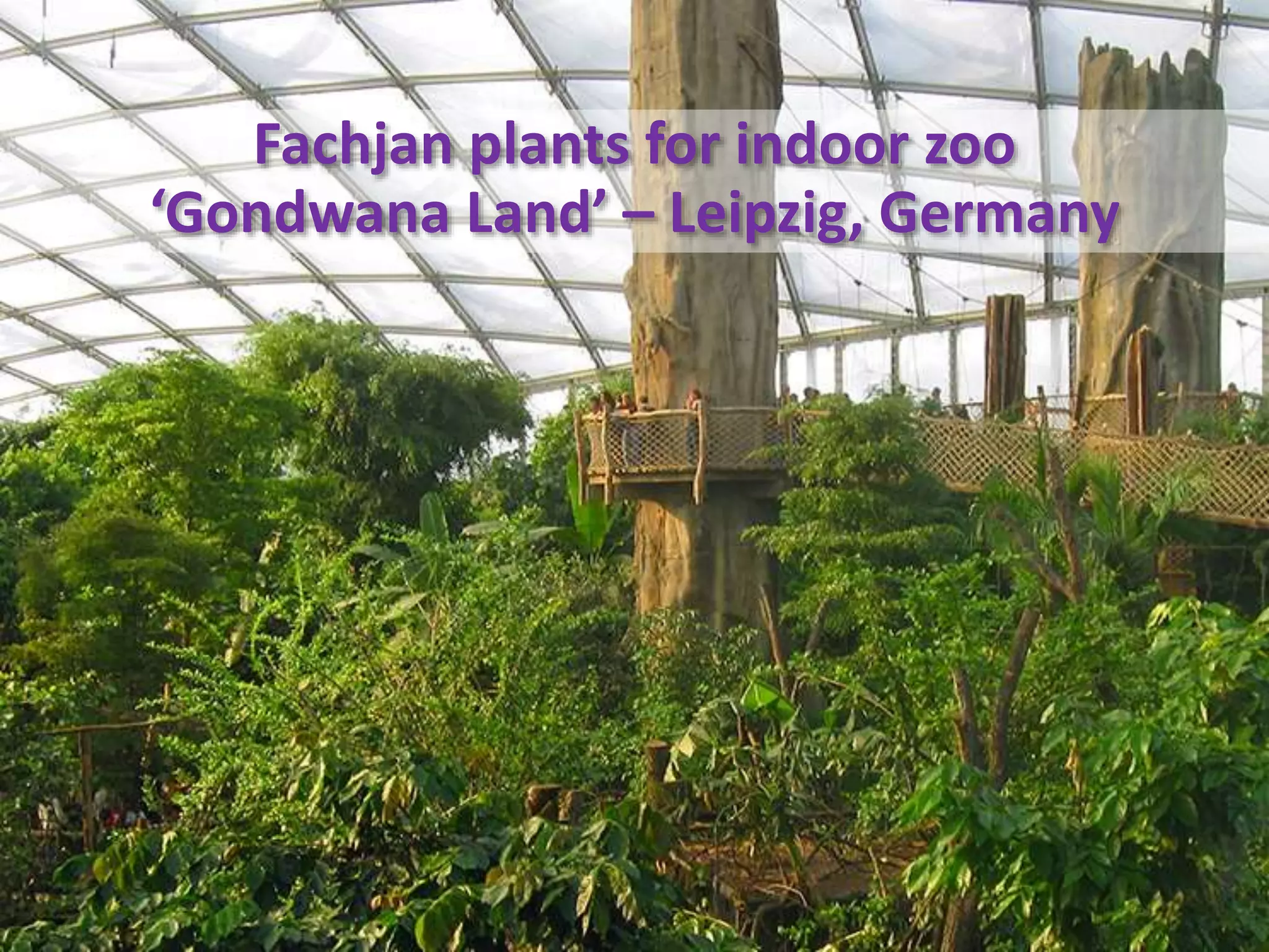 Fachjan Project Plants | PPTX