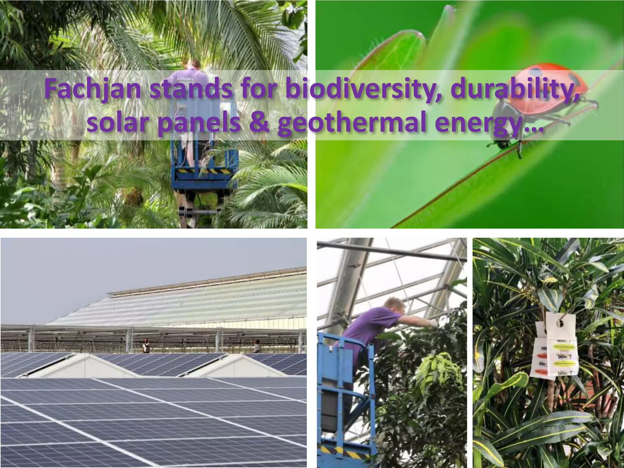 Fachjan Project Plants | PPTX