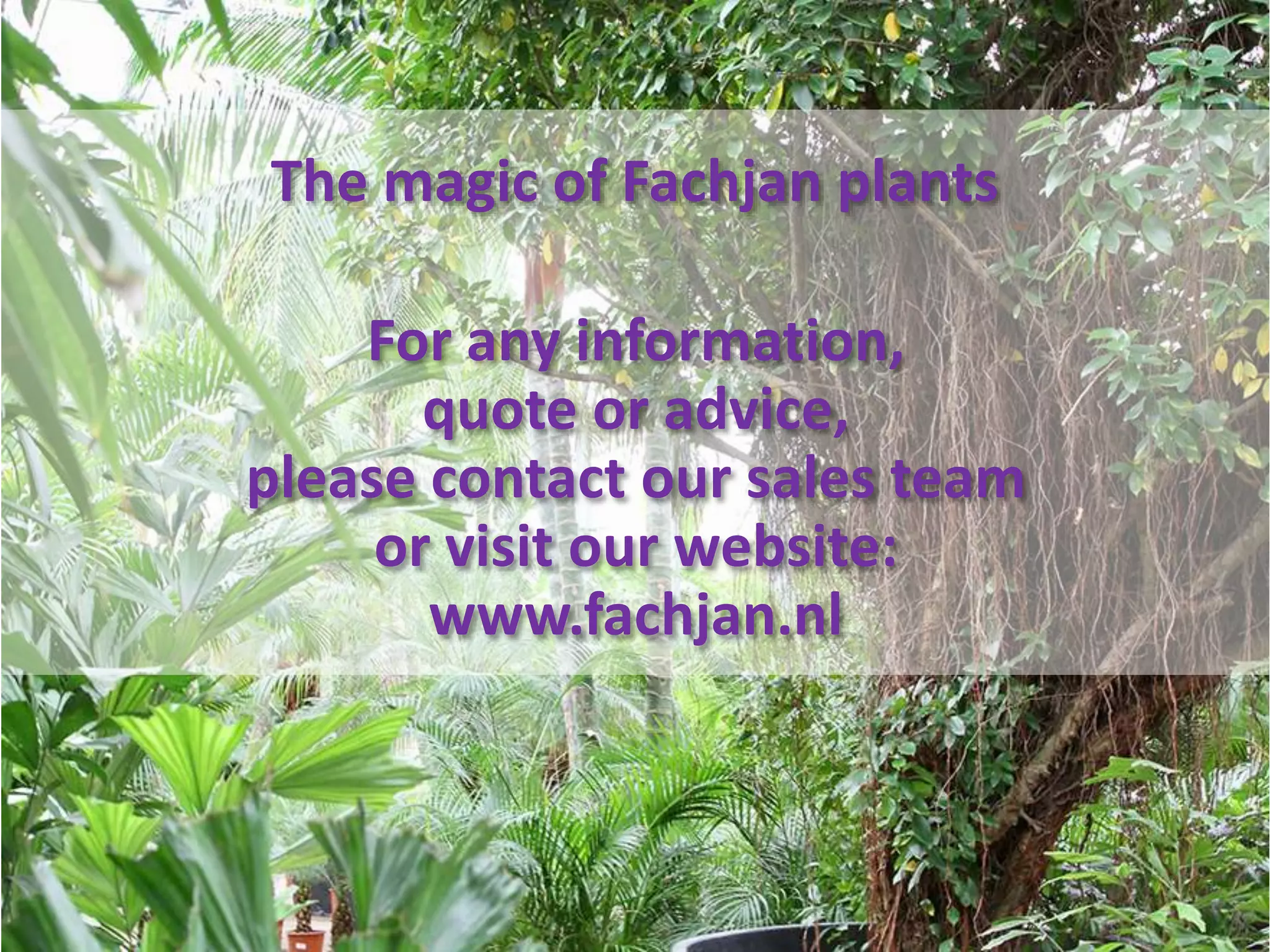 Fachjan Project Plants | PPTX