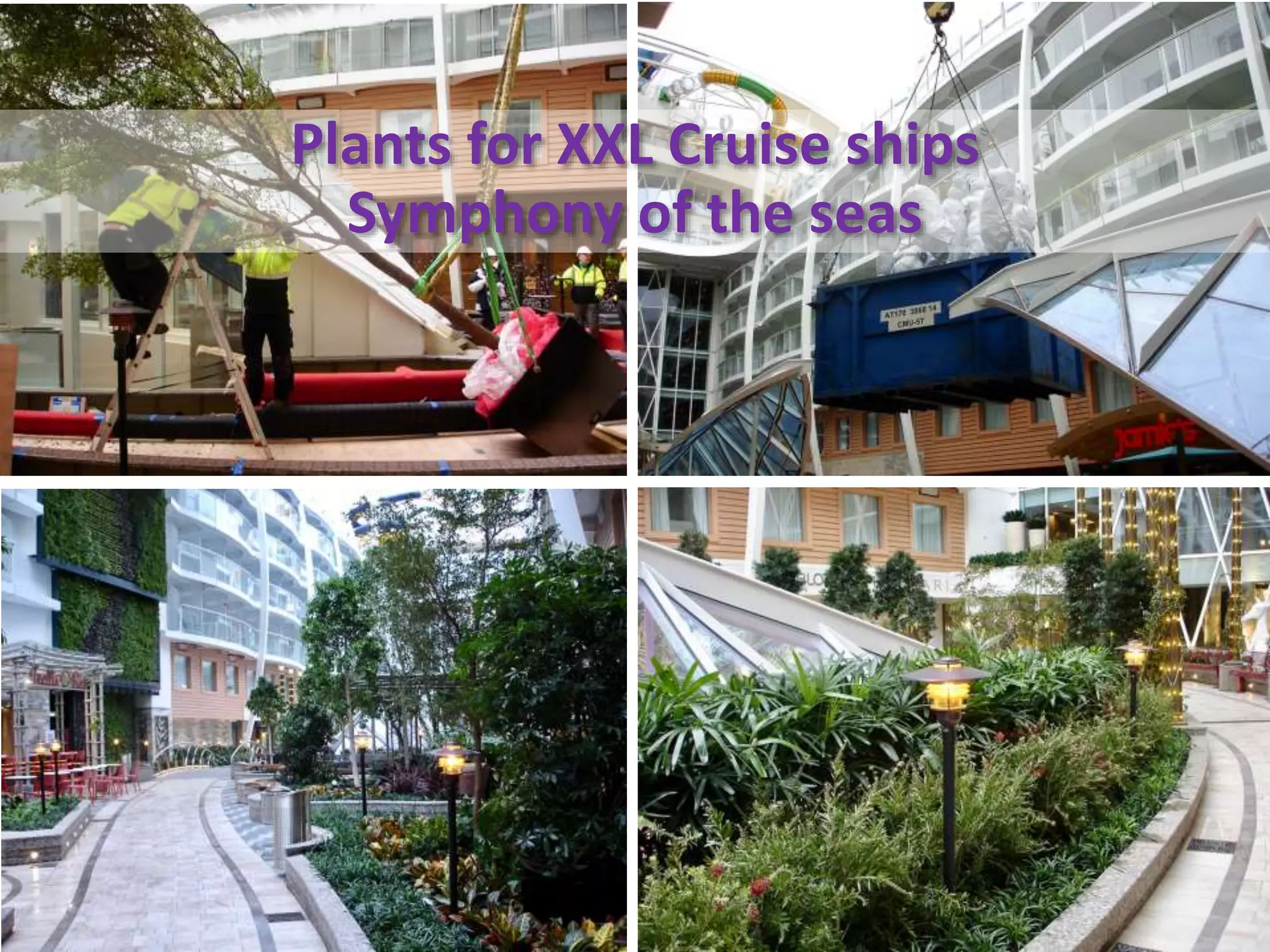 Fachjan Project Plants | PPTX