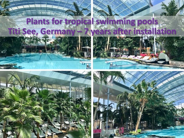 Fachjan Project Plants | PPTX