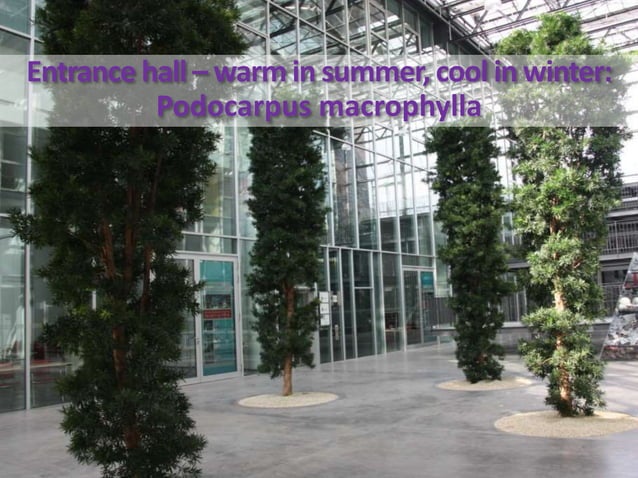Fachjan Project Plants | PPTX