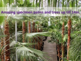 Fachjan Project Plants | PPTX