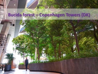 Fachjan Project Plants | PPTX
